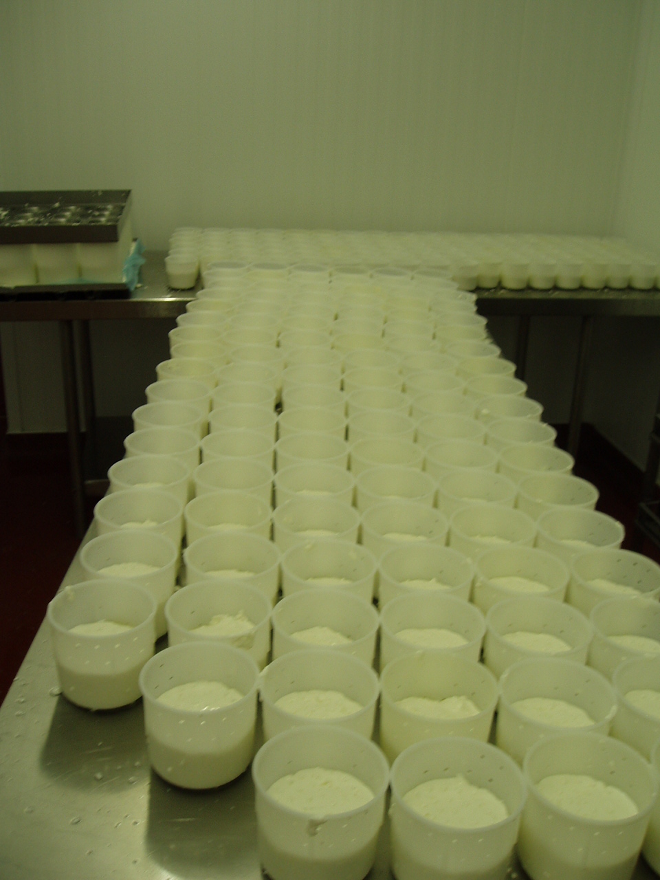 Ellie's Dairy - The Finest Goat Milk, from Kent: Say Cheese!