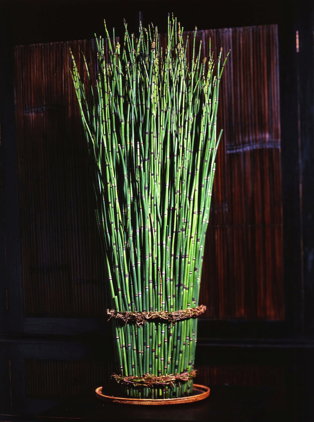 Give me the Dutch Rush! - Cultivation Of Crops