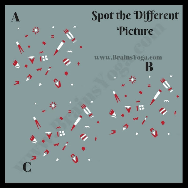 Spot the Different Picture Puzzle with Solution Image Puzzle Picture