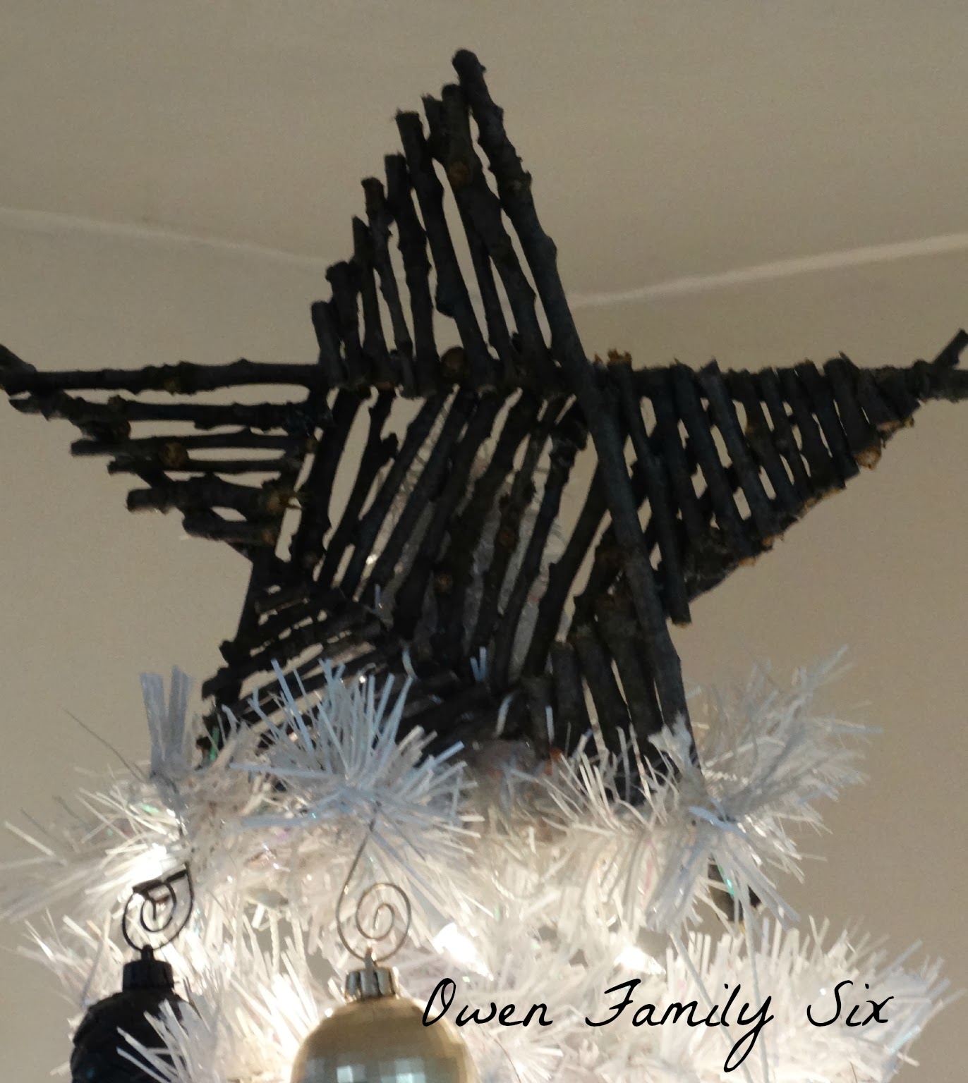 Owen Family Six: Twig Star Tree Topper