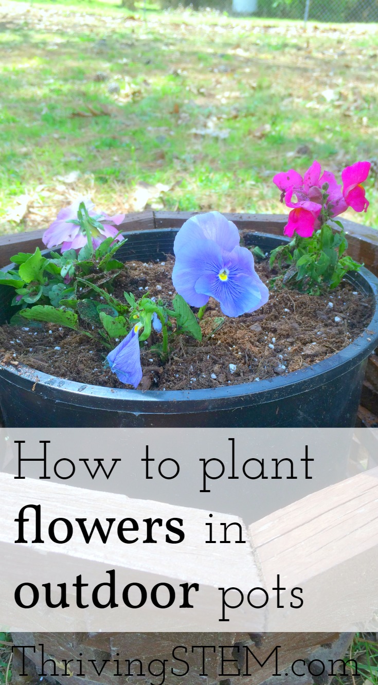 DIY Flower planters: the perfect project for gardening with your ...