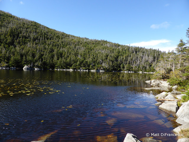 Matt's Hikes: Cannon - Cannonballs - Kinsmans - Redlining - Everything ...