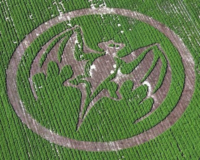 7 of the Most Largest Crop Circle in the World ~ Most of The Most