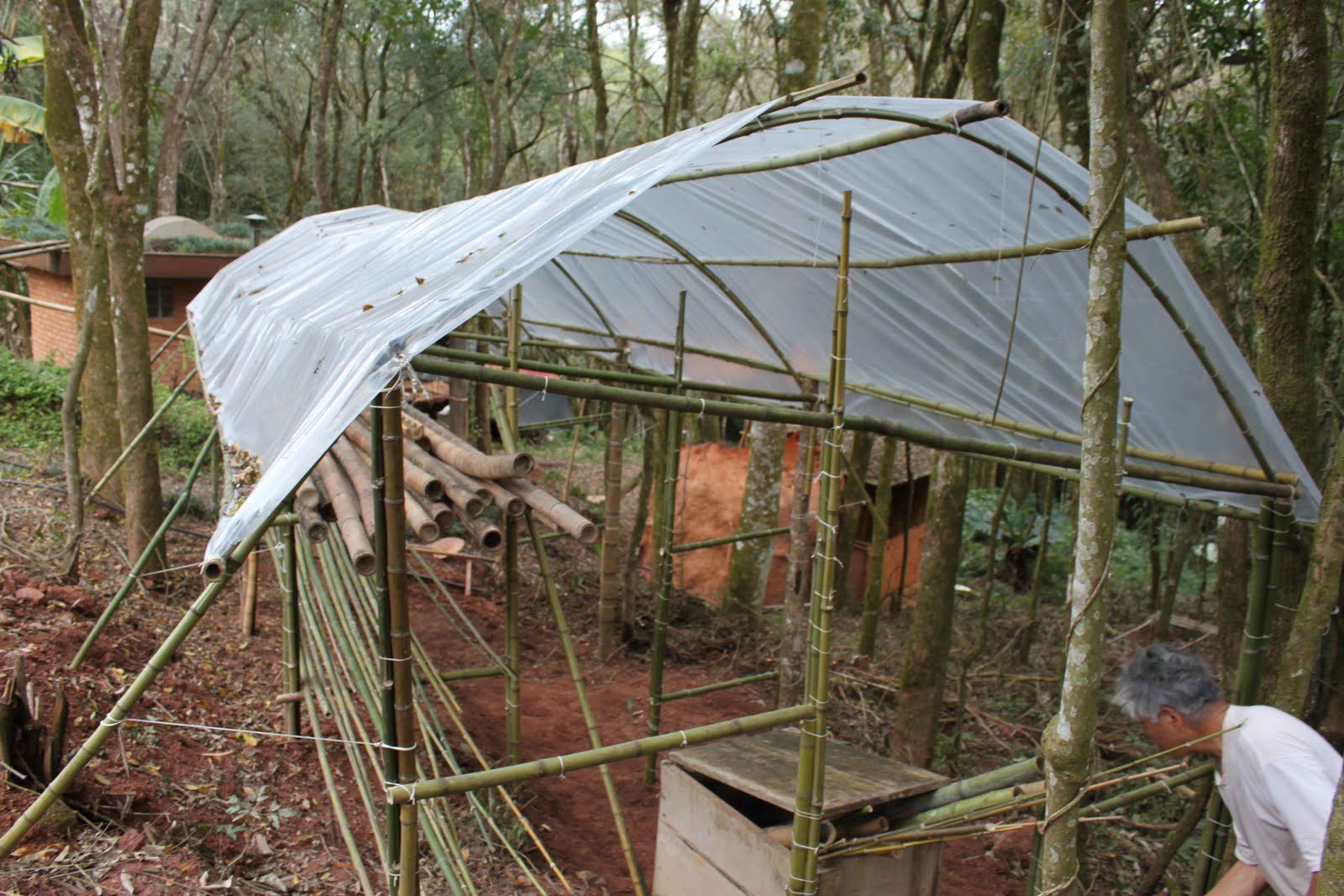 IPC TAIPAL - INSTITUTO DE PESQUISAS E CRIAÇÃO TAIPAL: Depósito de Bambus