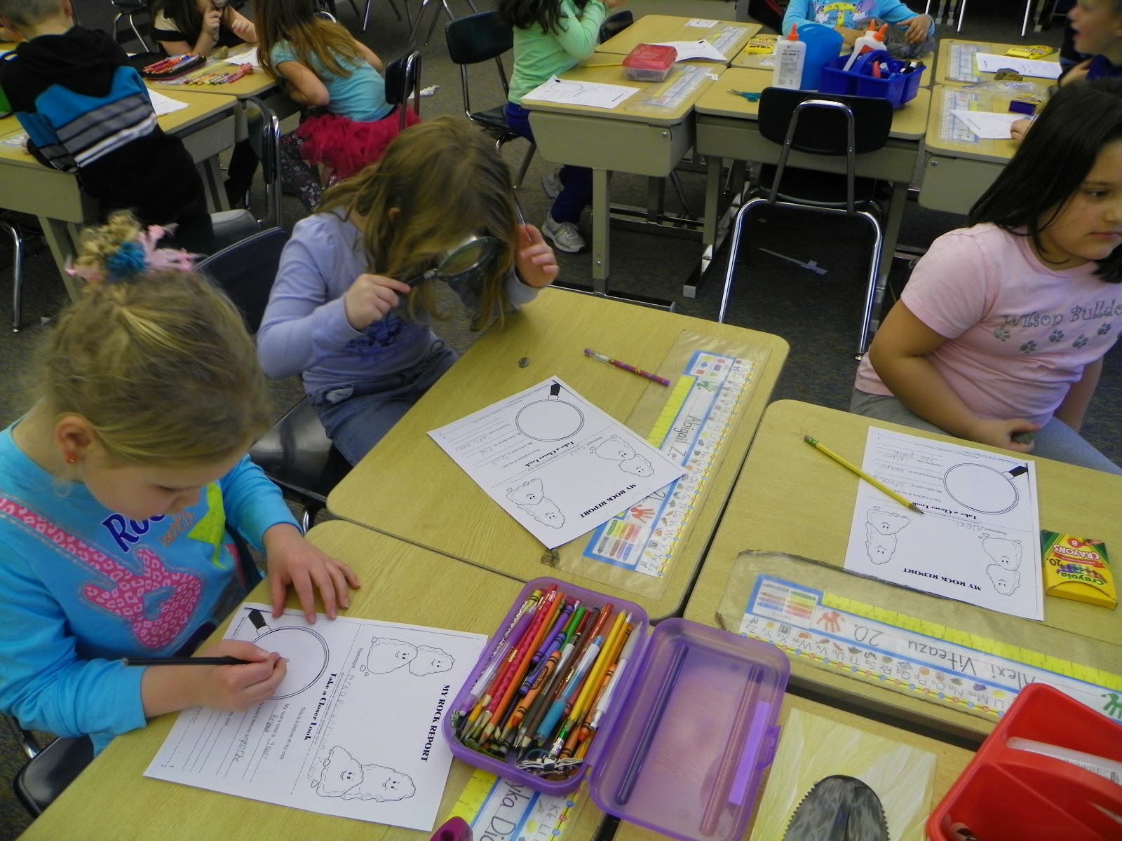 Free Fallin' Into First!: First Grade ROCKS!