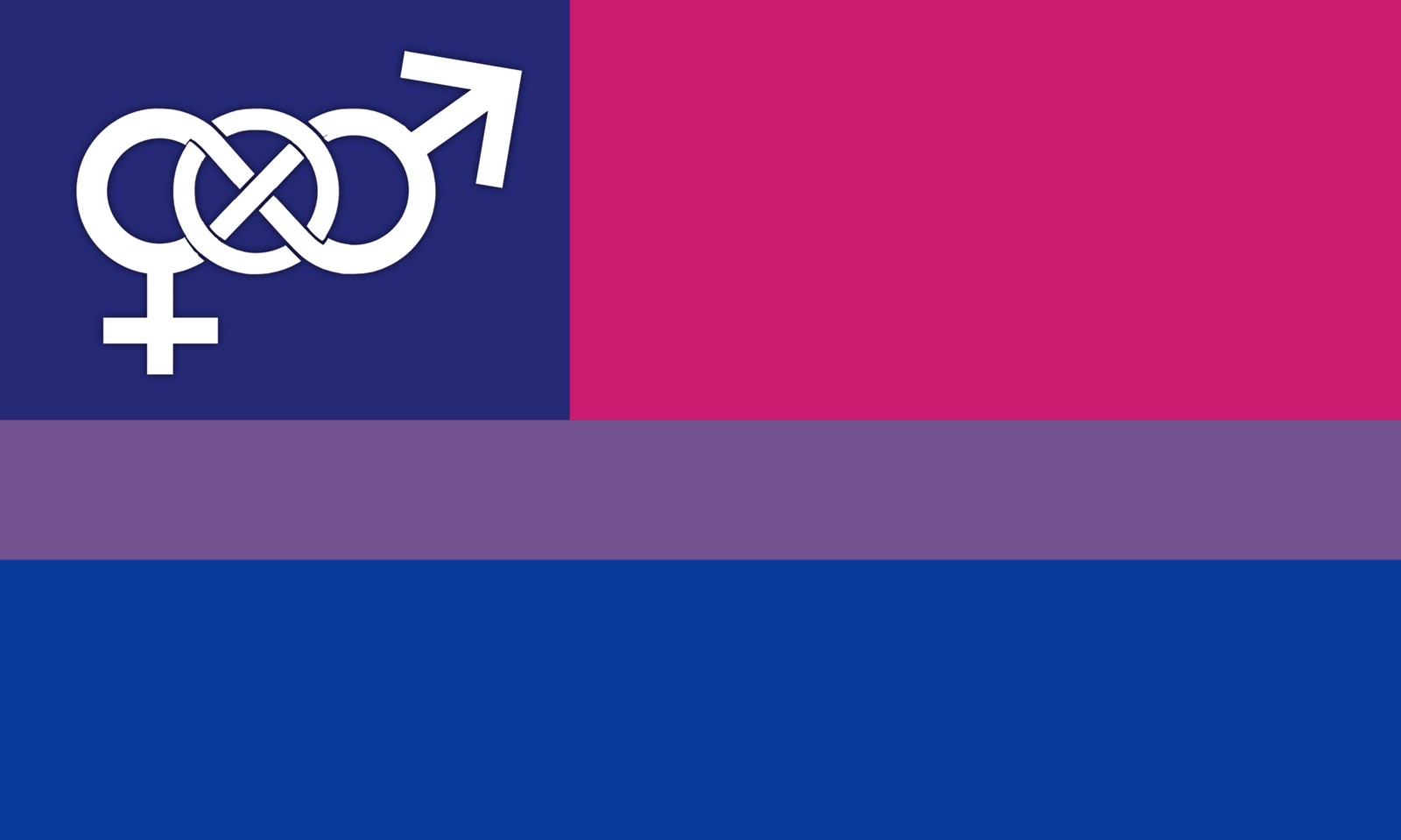 BANDERAS DE LA DIVERSIDAD SEXUAL / SEXUAL DIVERSITY FLAGS: BANDERAS ...