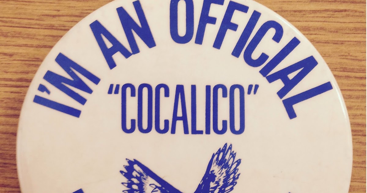 Papergreat: Button for a Cocalico High School Bleacher Bum