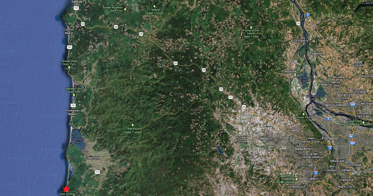 Birding Is Fun!: Preparing for Birding the Oregon Coast