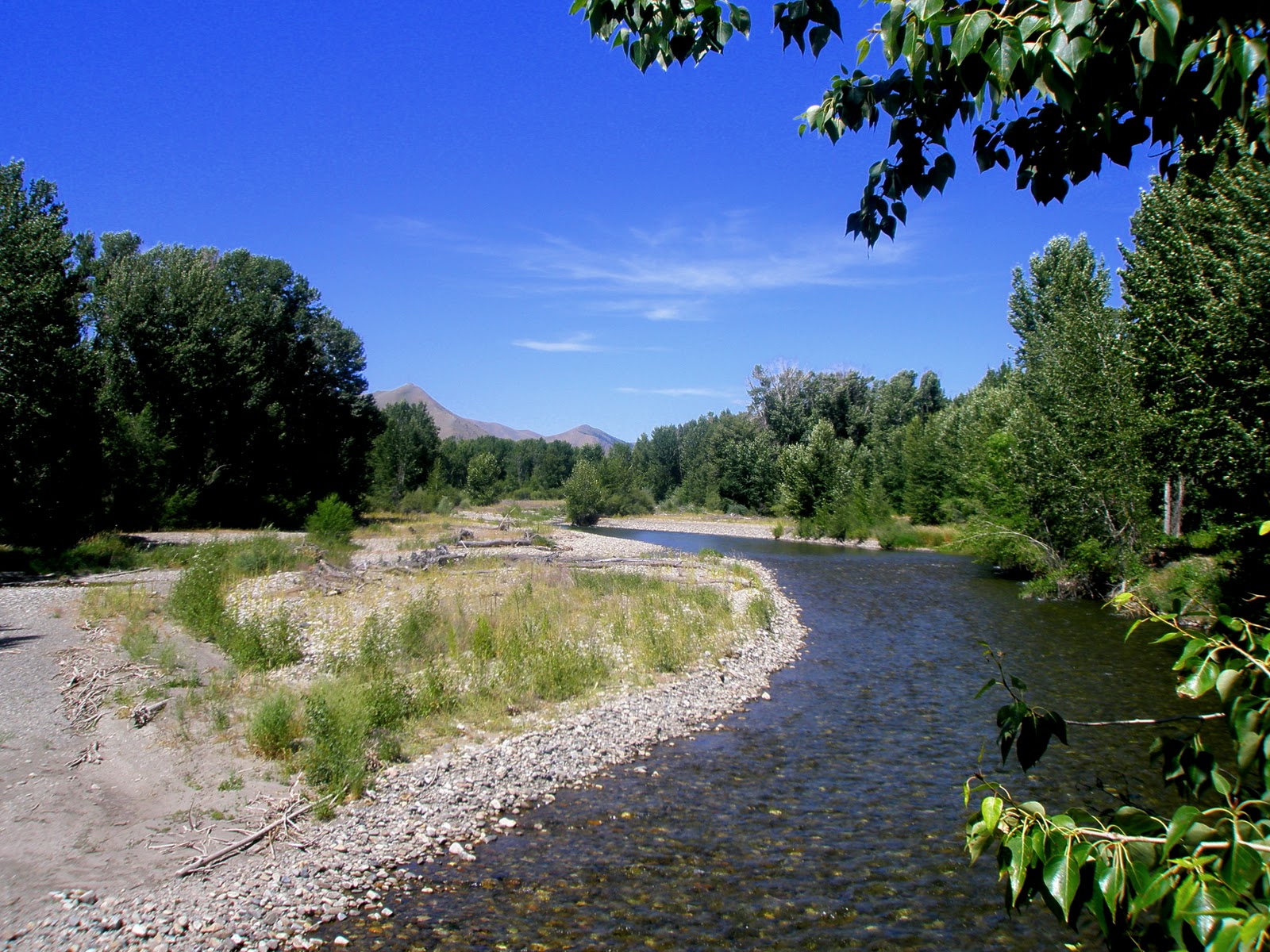 Place: Bellevue, Idaho ~ IDAHOMAN