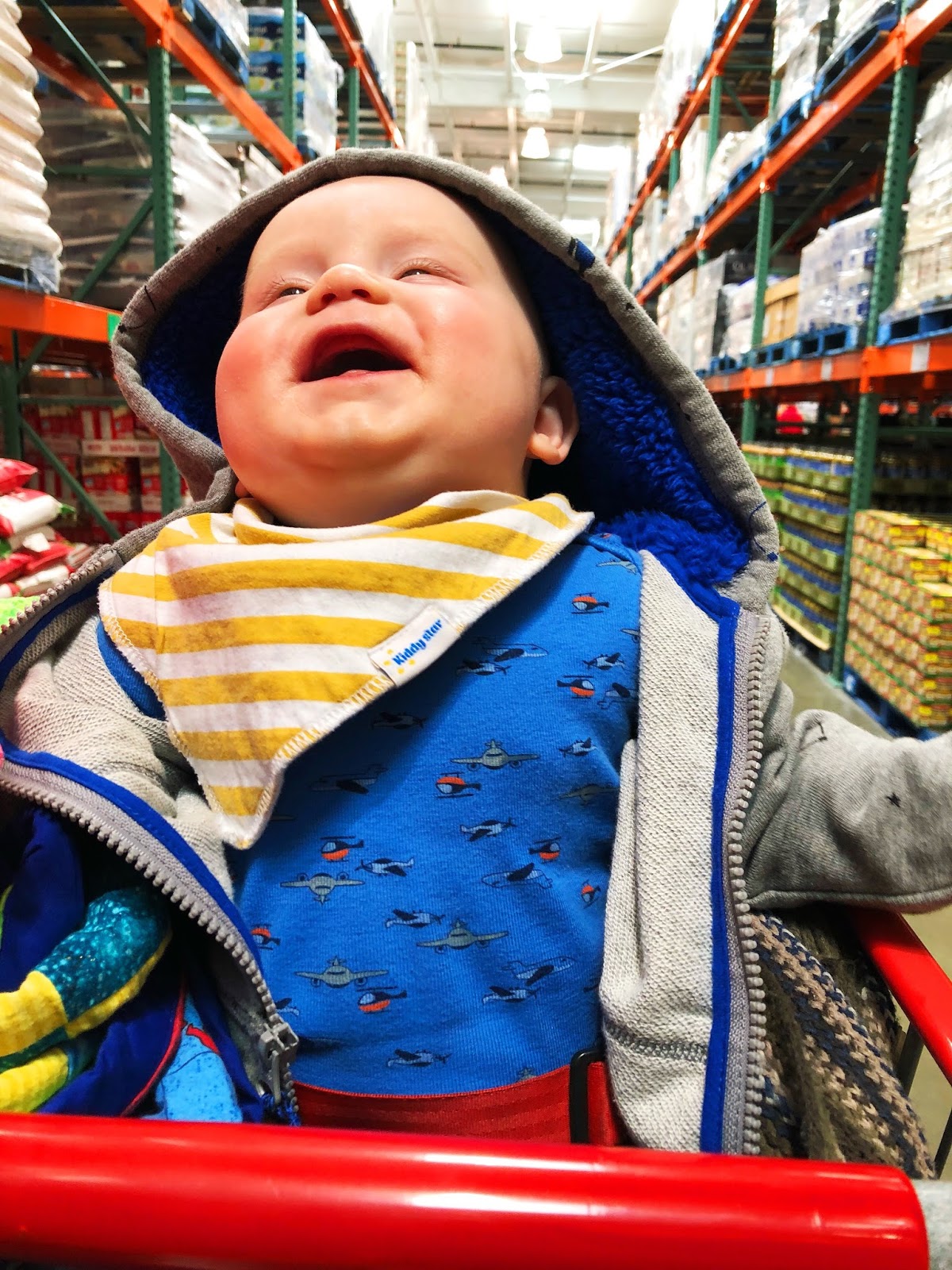 Baby Sullivan | Week Thirty Four - Hollen Home