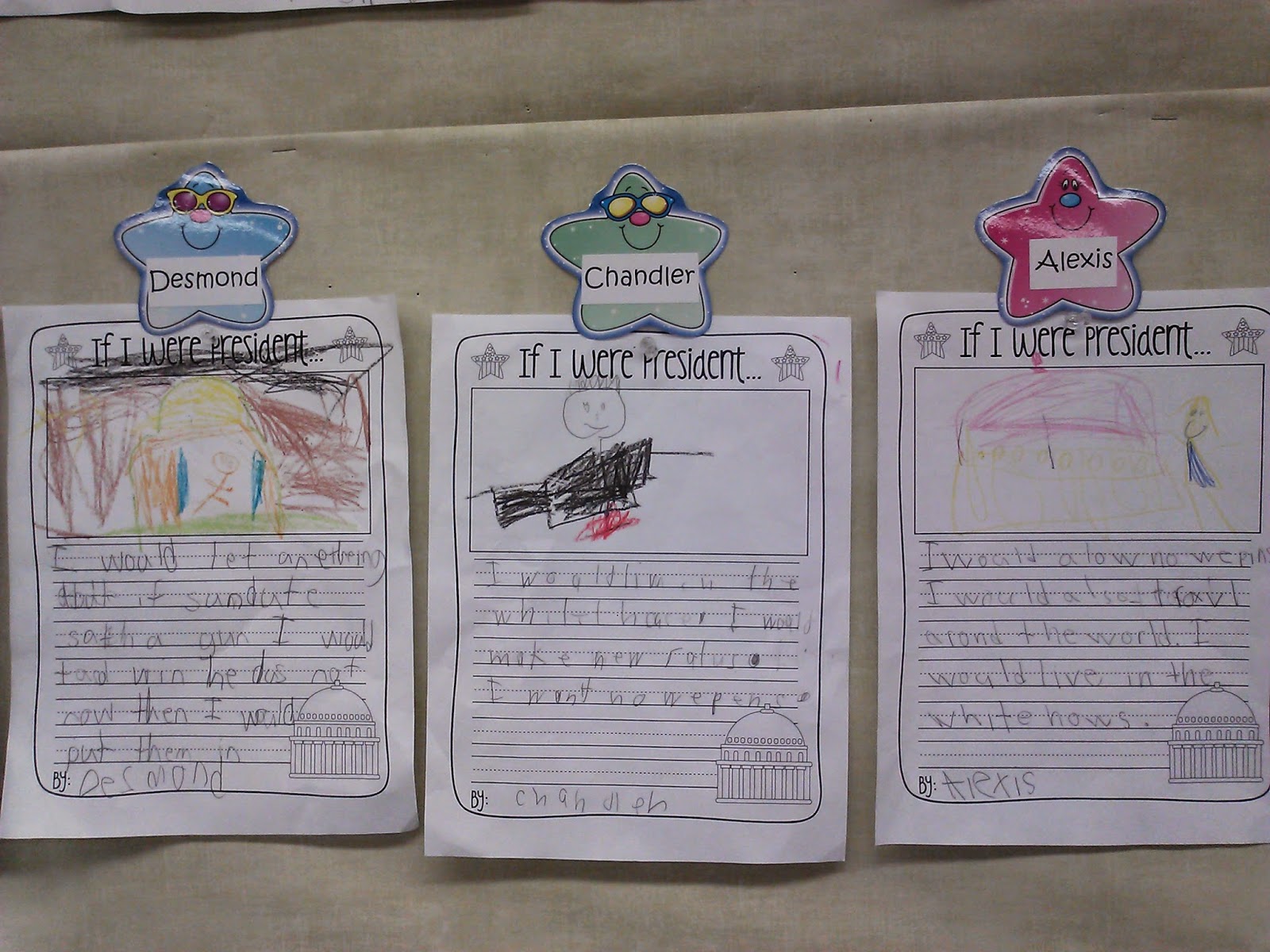 Ms. Anderson's Learning Blog!: If I were President...