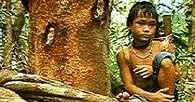 To know Penan tribe in Sarawak ~ SSKM - SSU(UK)