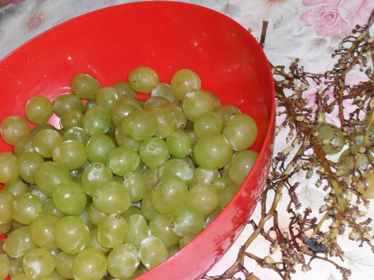 Compot de struguri albi, fara conservant