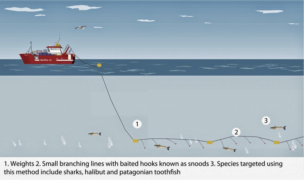 Fishing Techniques ~ FOKUS MANCING
