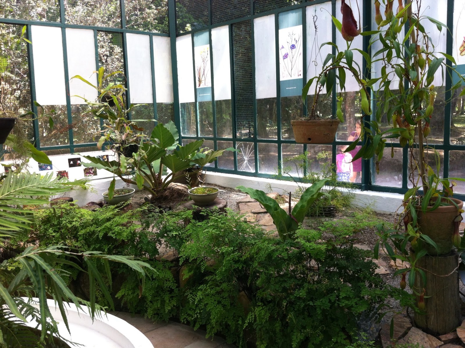 6 a Brasil: Jardín botánico y regreso: Rio de Janeiro3/3