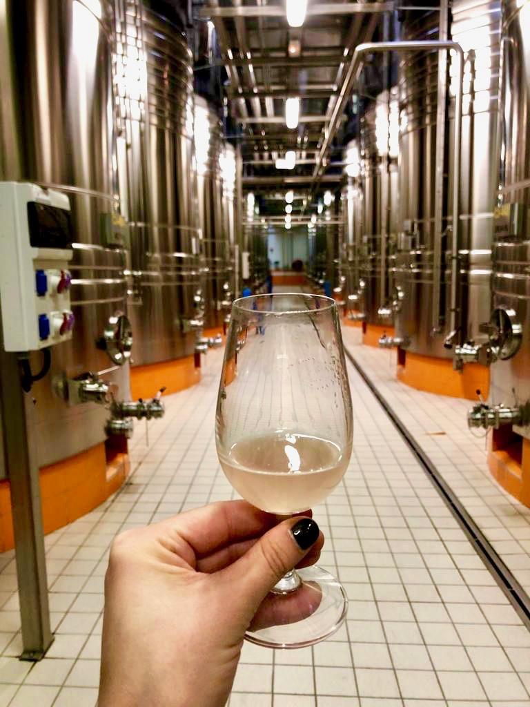 ESSEC Global MBA | ESSEC Business School: Visit to Champagne Collet ...