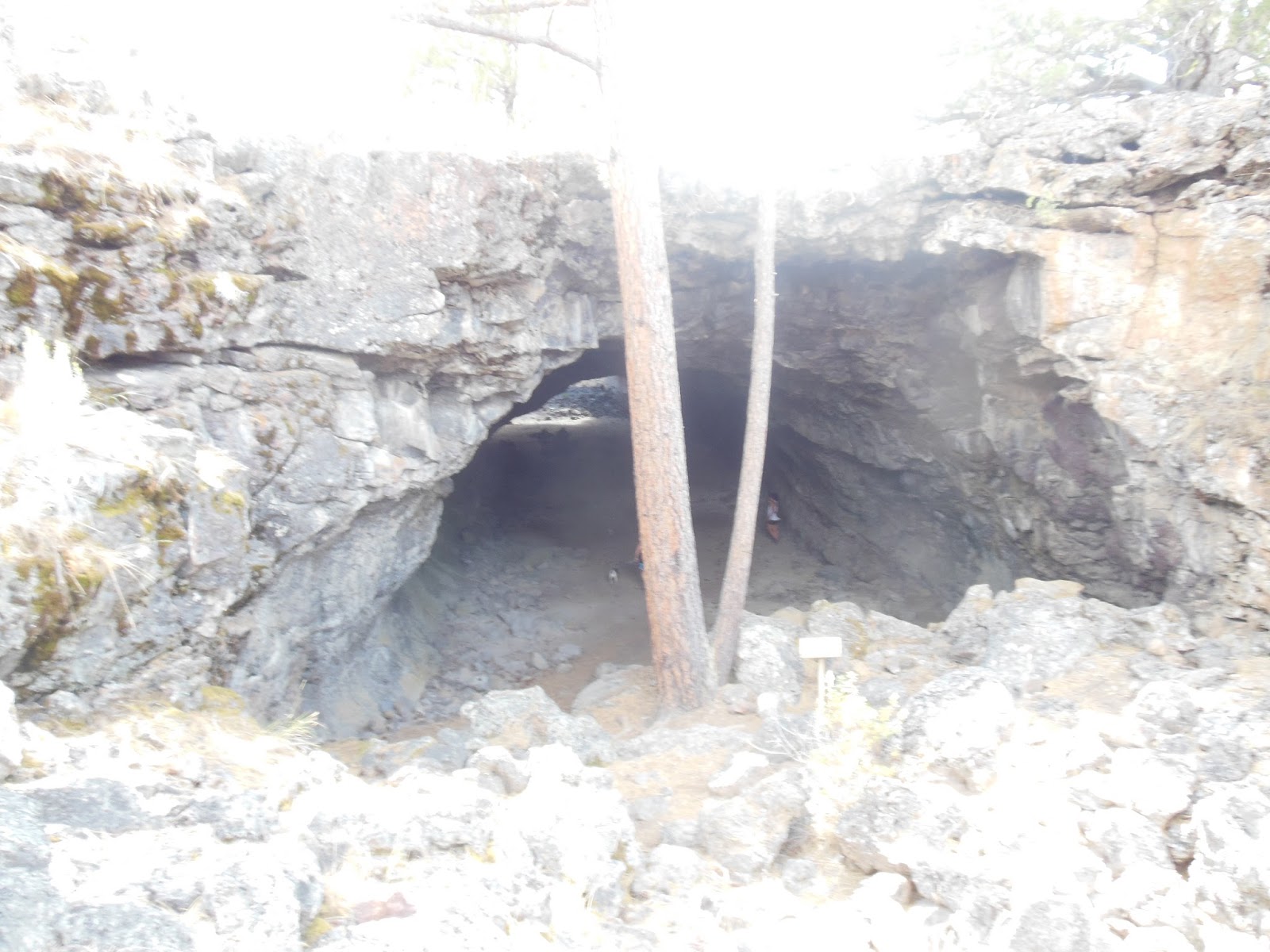 Practical Ecology: A Field NoteBlog: Derrick Caves, Lake County, OR ...