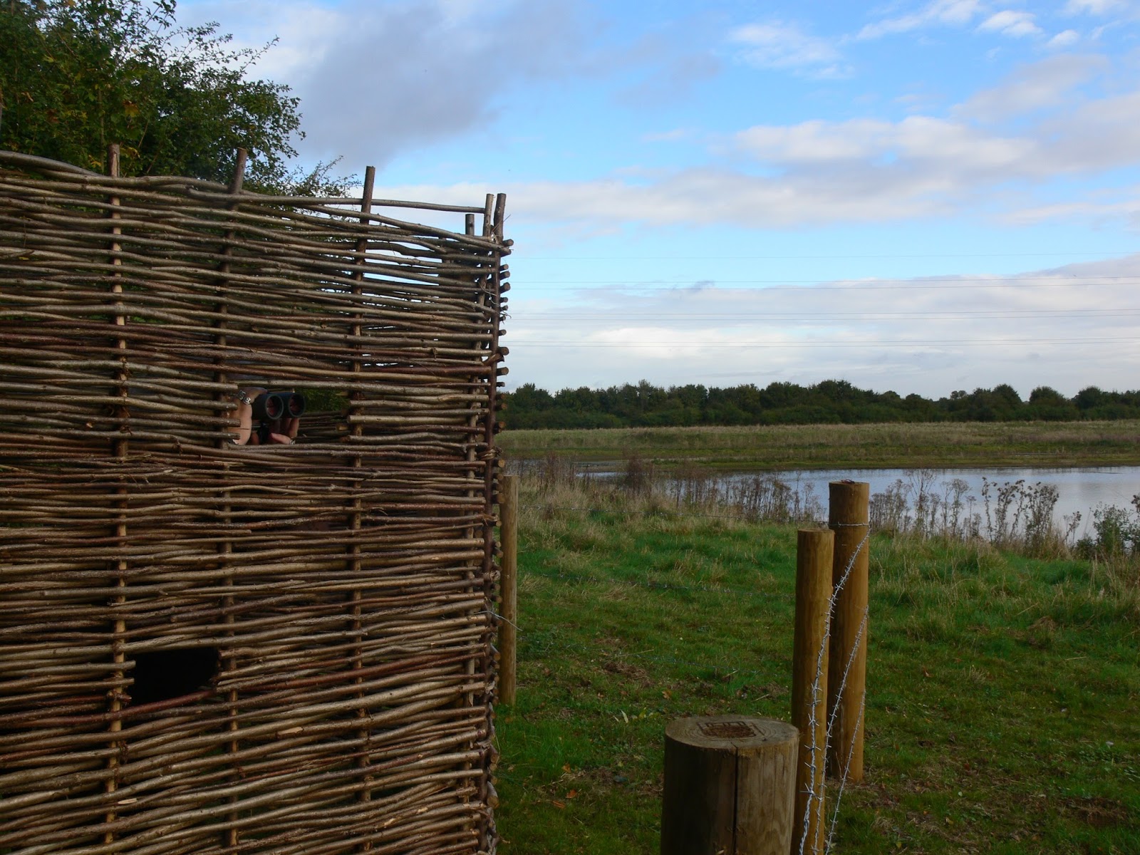 Lower Windrush Valley Project: New Bird Hide Screen at Rushy Common ...