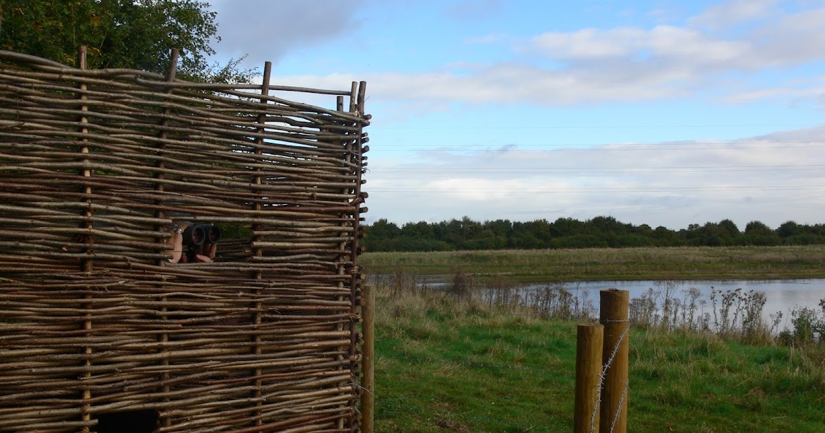 Lower Windrush Valley Project: New Bird Hide Screen at Rushy Common ...
