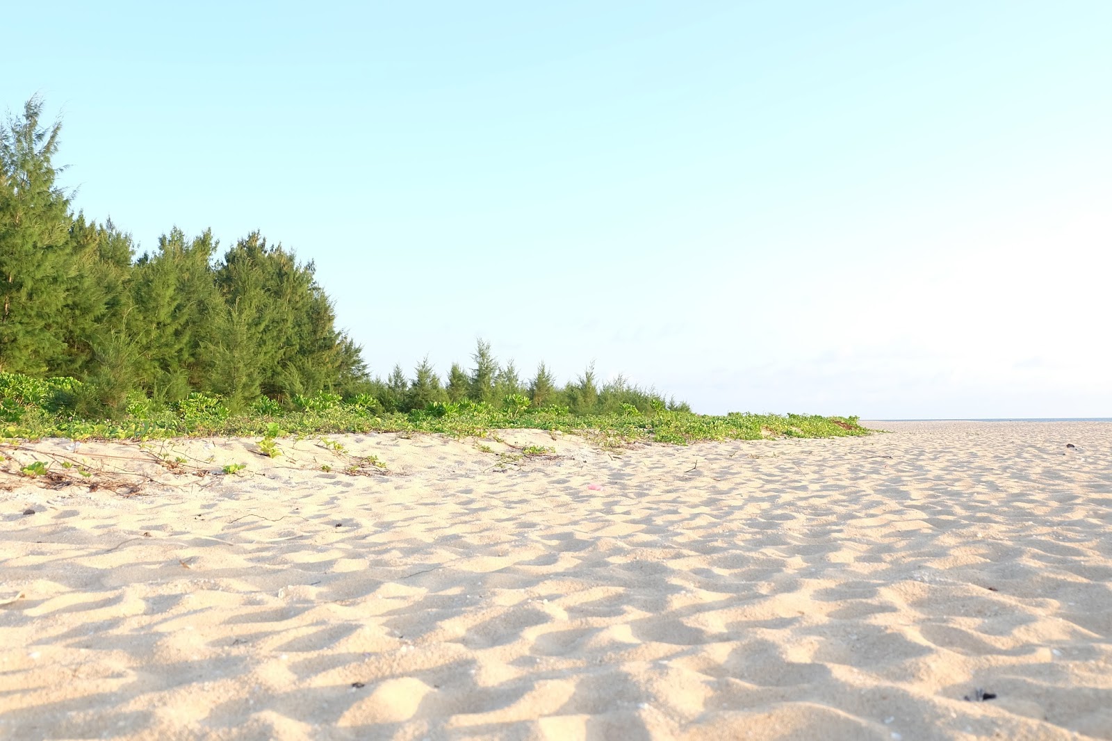 Travel Guide to Jomalig Island, Quezon - From The Highest Peak to The ...