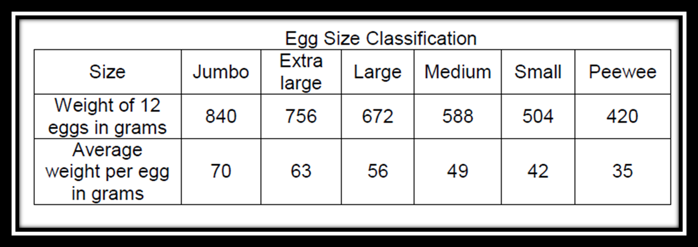 QUARTER 1: Egg, Cereal, and Starch Dishes: LESSON 1: PREPARE EGG DISHES