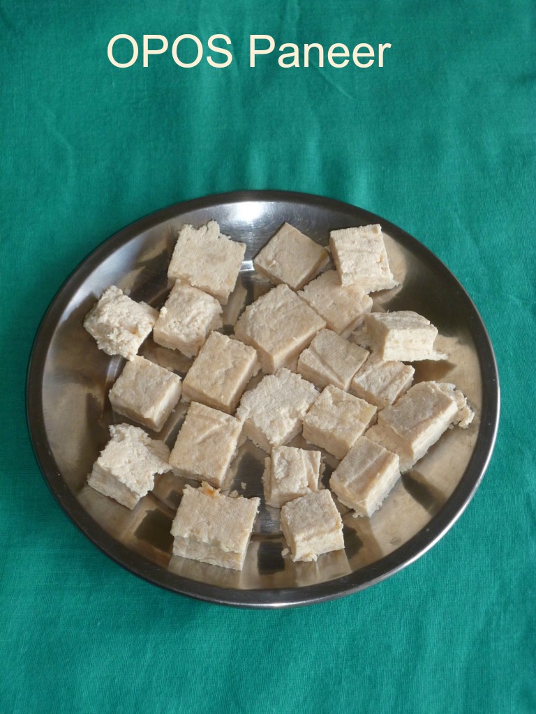Cooking In Paris: OPOS Homemade Paneer | OPOS Recipe