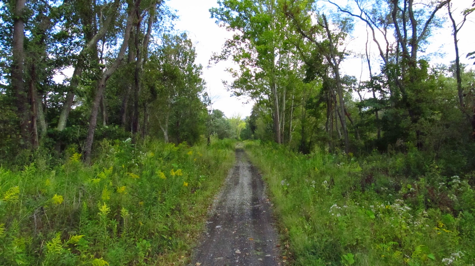 Old Industry of Southwestern Pennsylvania : Sewickley Branch Of The ...