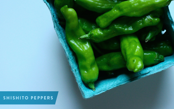 Adrienneats: Shishito peppers