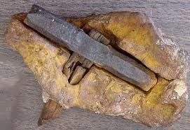 Frumoasa verde: Omul nu a fost niciodată primitiv + documentar (RO)