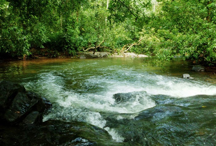 Helabima Tours and Travels: NACHCHIMALE - SRI LANKA