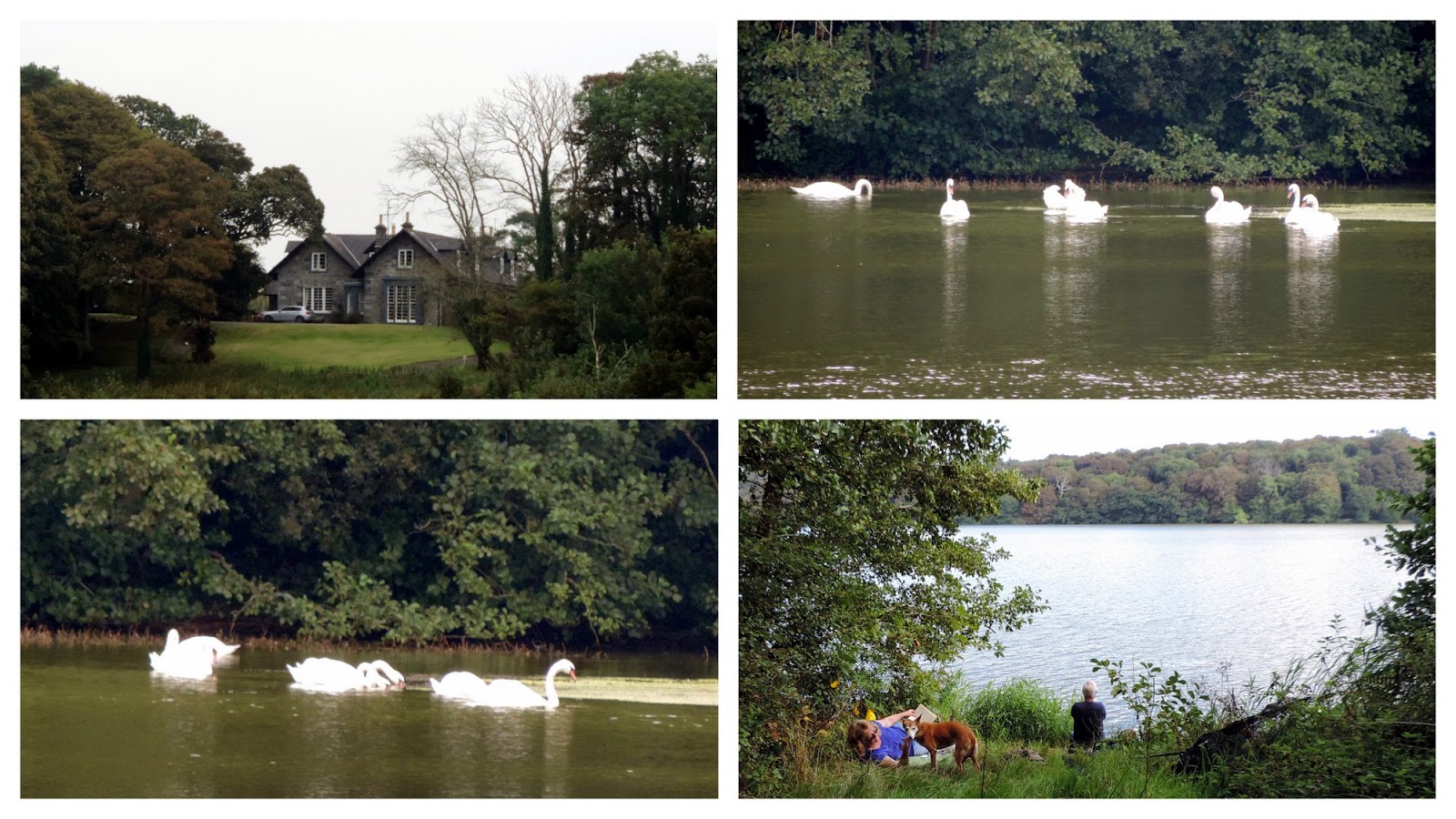 The Glebe Blog: Wigtownshire Ramblers Monreith Circular September 2014