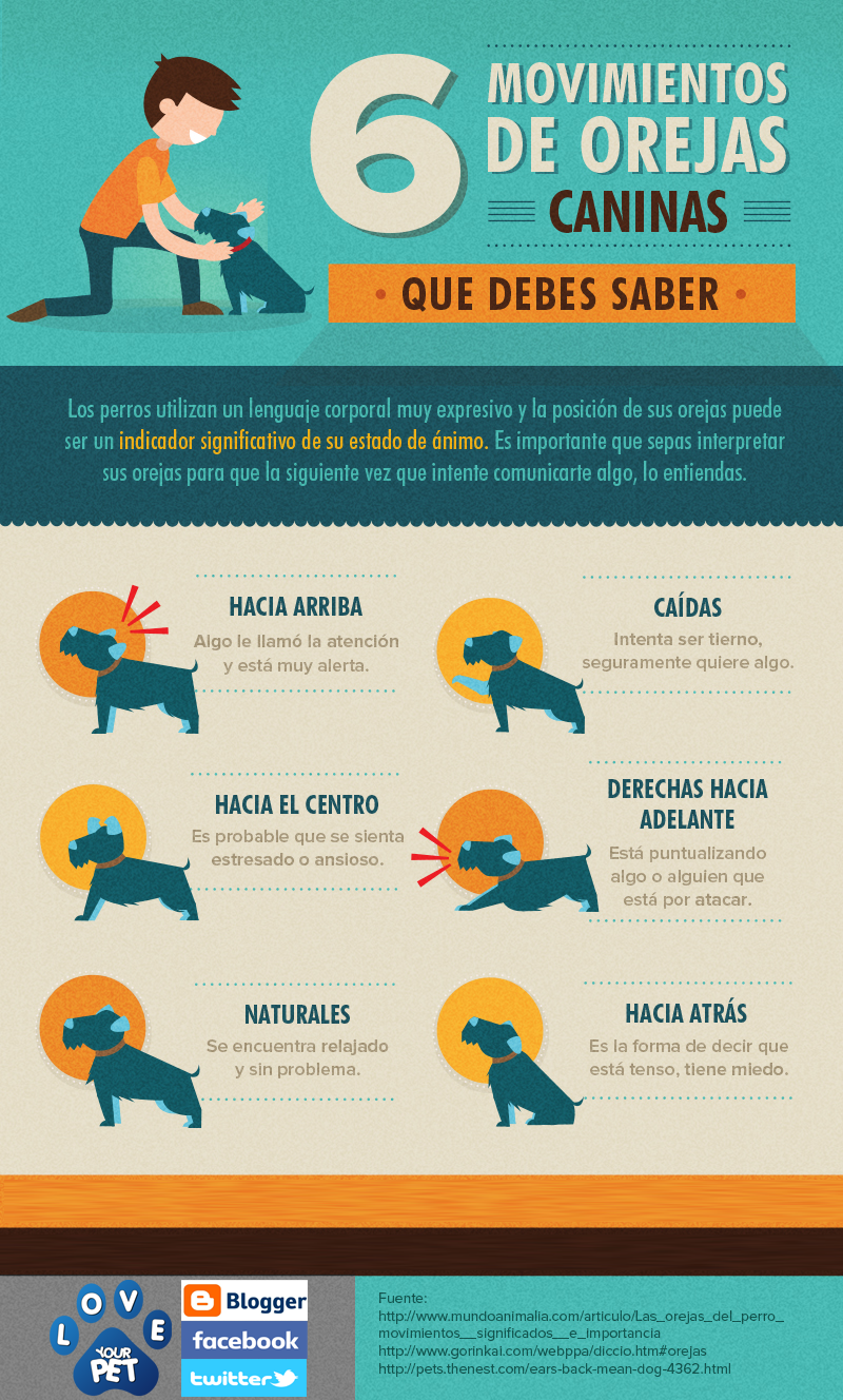 Love Your Pet: INFOGRAFÍAS: El significado del movimiento de las orejas ...