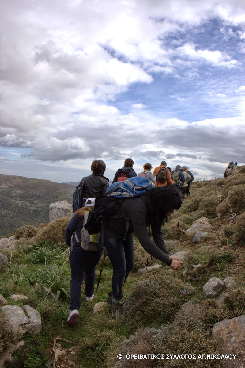 EXPLORE MOUNTAINS: ΜΟΝΟΠΑΤΙ Ε4 ΔΑΦΝΗ-ΠΕΥΚΟΙ ΣΤΗΝ ΣΗΤΕΙΑ