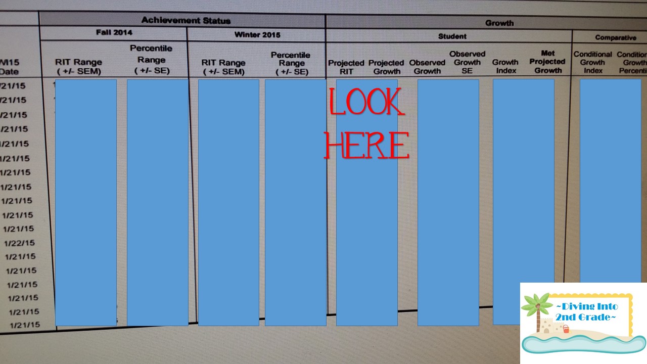 Diving Into 2nd Grade