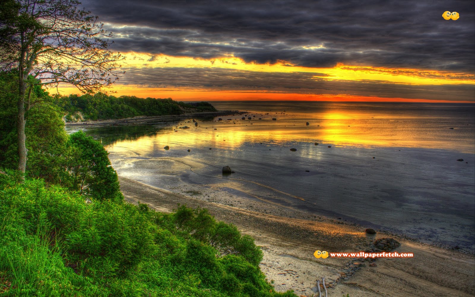 Wallpaper Prehe: The Best Wallpapers Pack