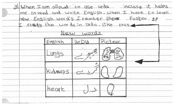 The Learning Garden: Language Acquisition - Jim Cummins