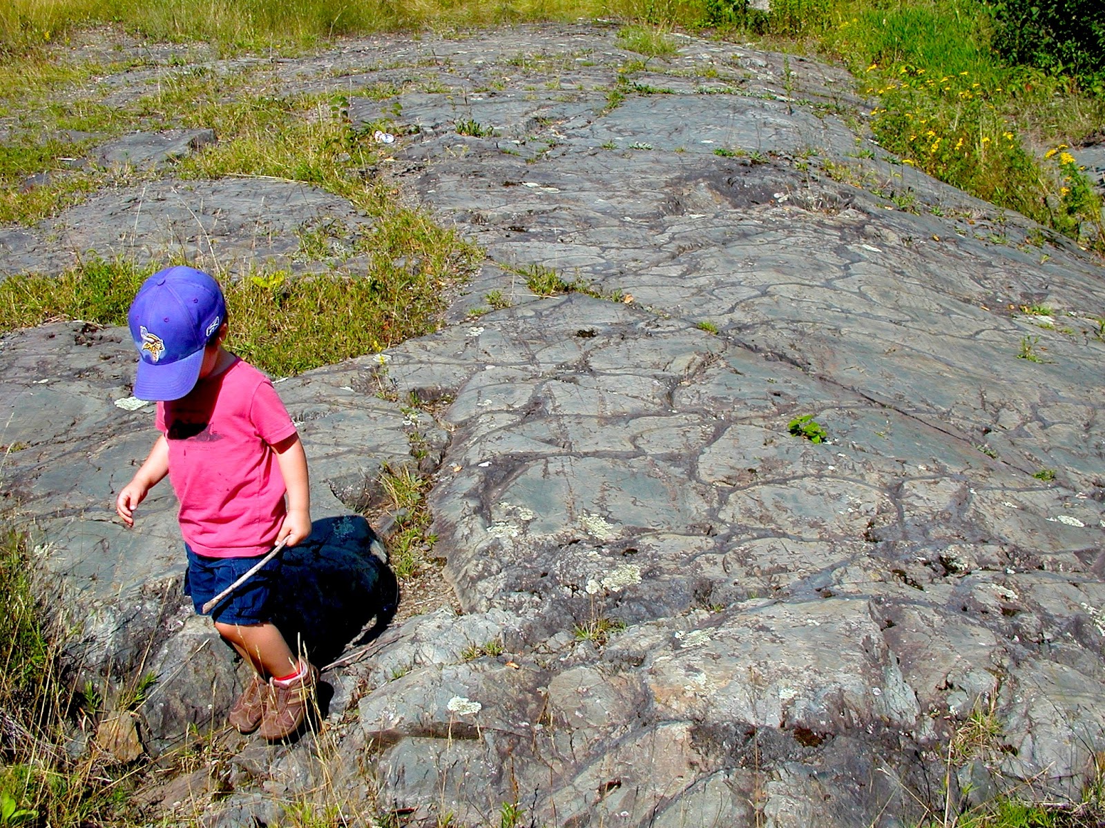 earthscienceguy: Minnesota Geology Monday - Pillowed Greenstone