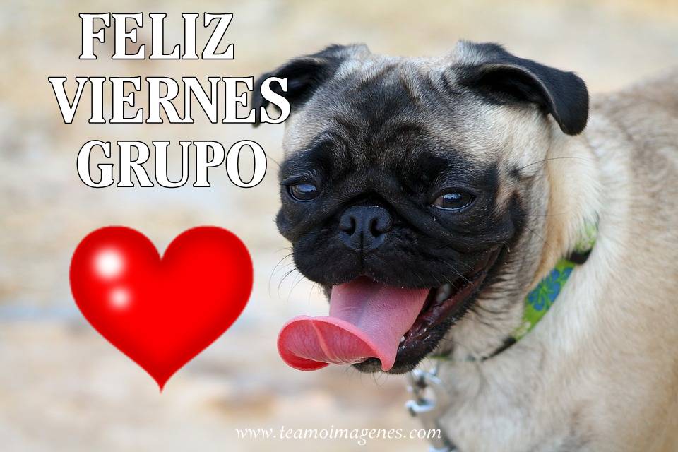 8 imágenes de feliz viernes GRUPO - Imágenes de Amor, Gatitos, Amistad ...