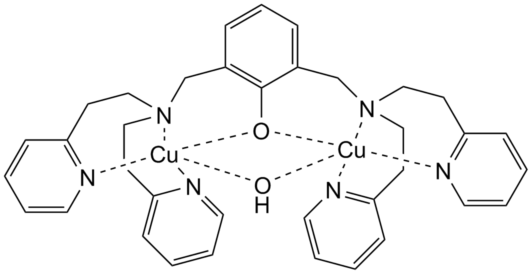 Biocoordination Chemistry: Oxygen Transport