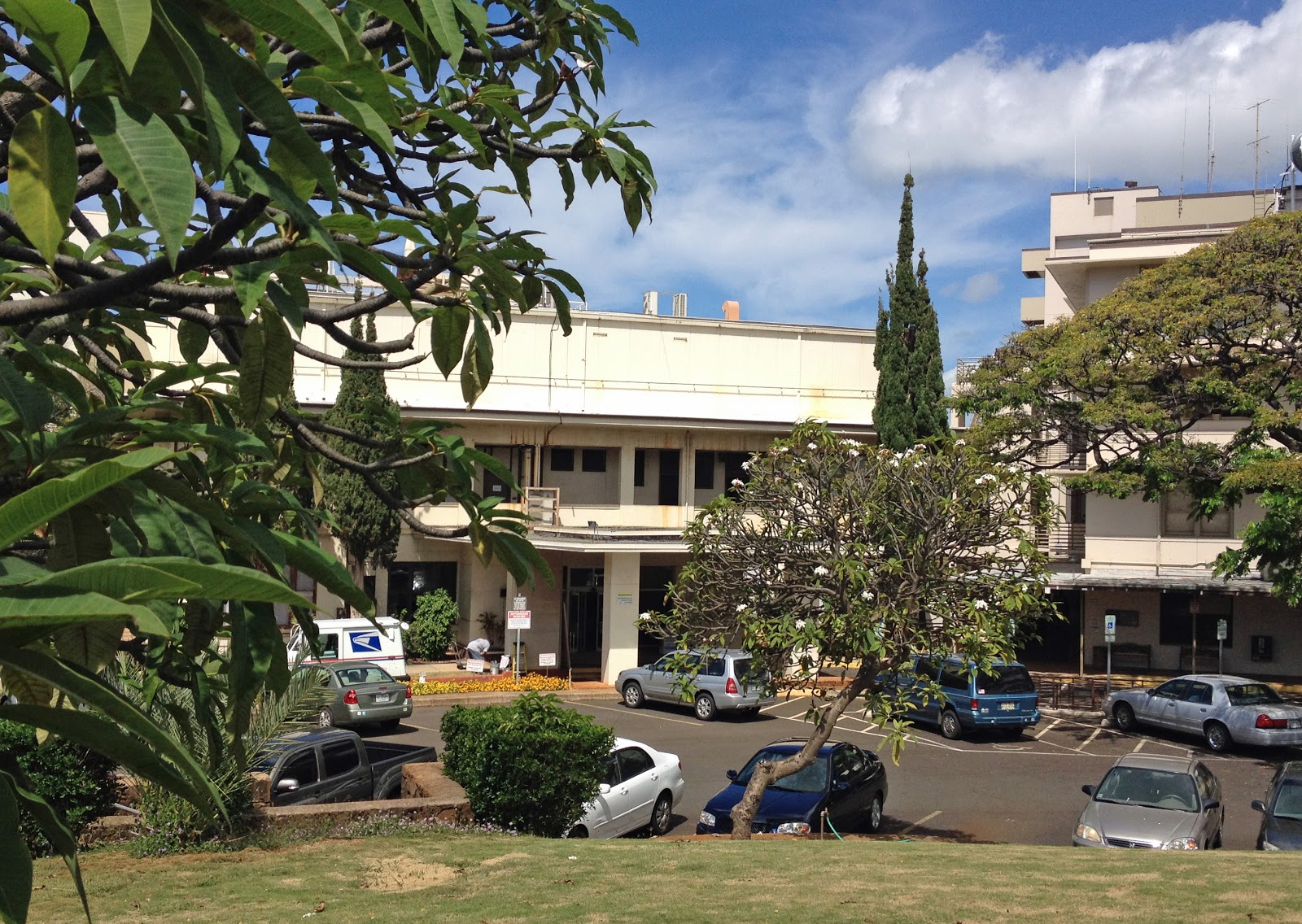 The Walking Hawaiian