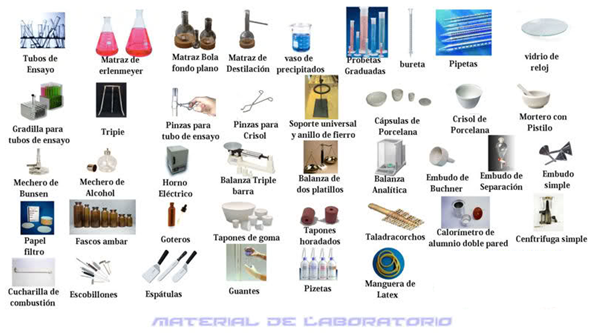 MATERIALES DE LABORATORIO | BIOLOGÍA ¡EXPERIMENTEMOS!