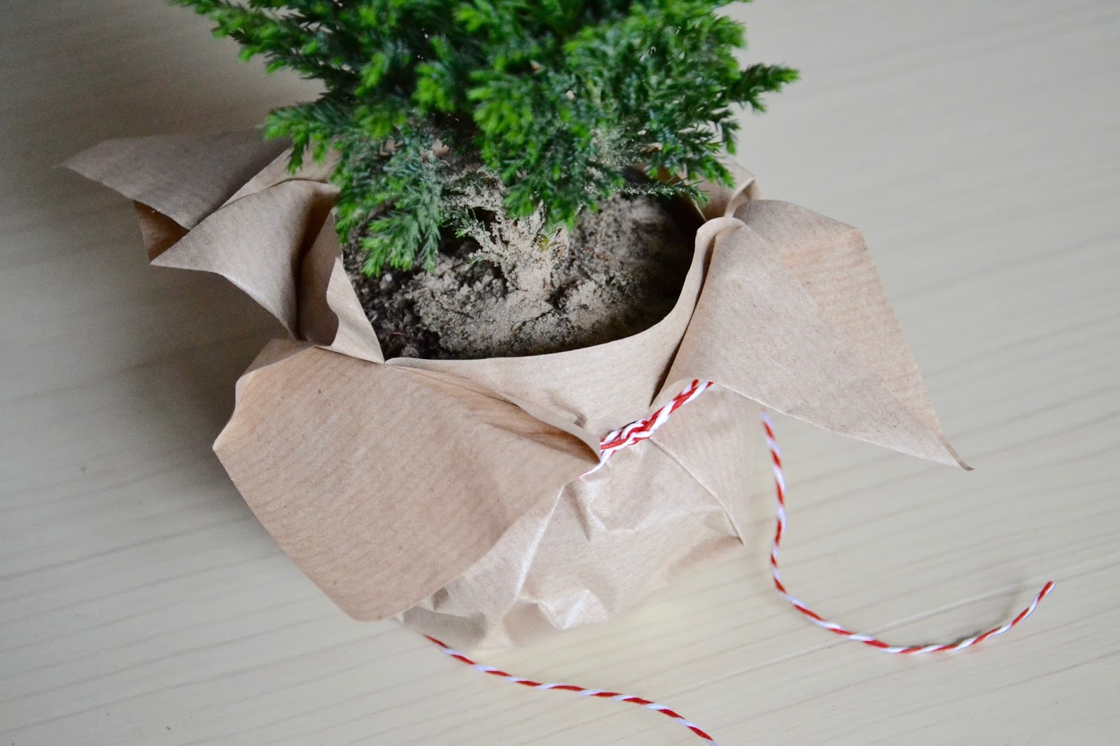 DIY Christmas | Last Minute Plant Gift Wrap Idea | The Things She Makes
