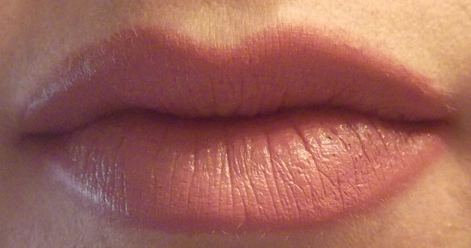 Nikki's Brush: Personal Blog: Big, fat, beautiful lips