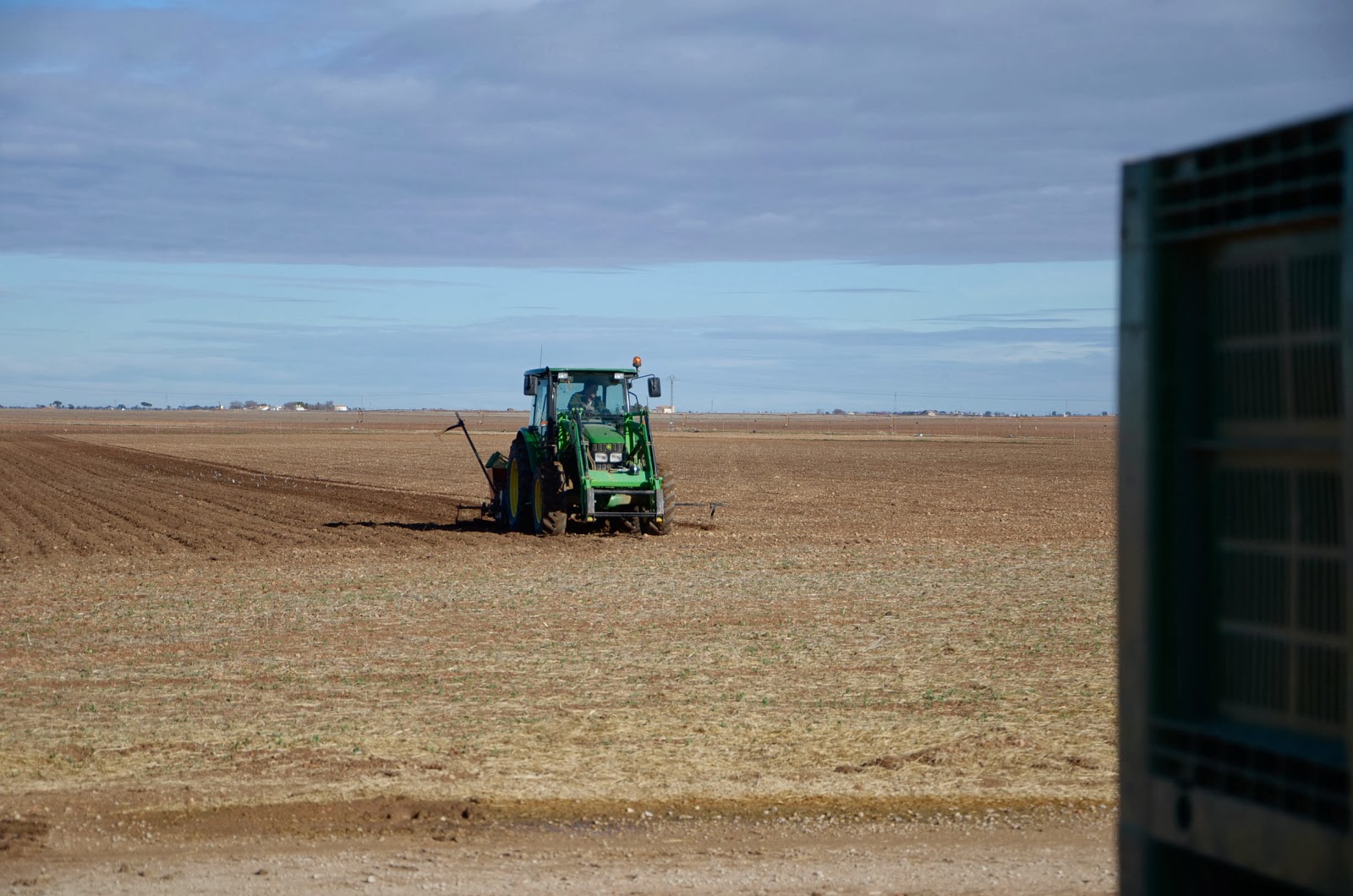 Garlic: Mechanical planter