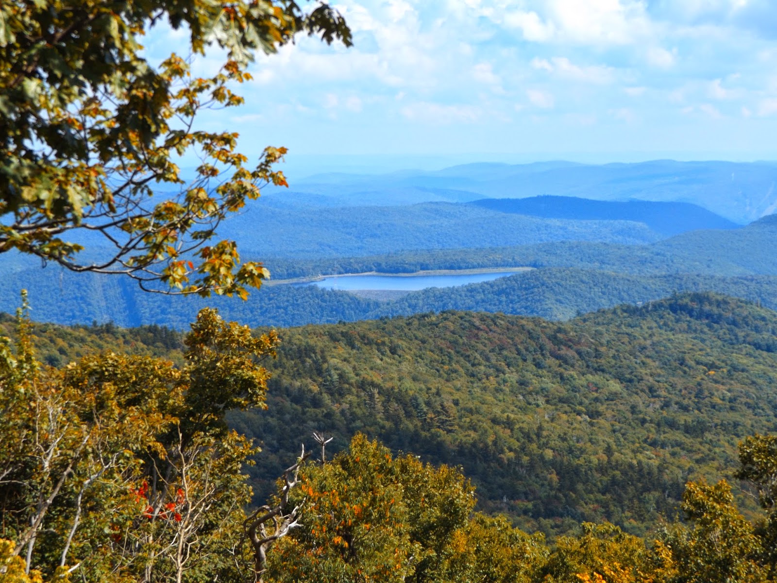 Walking Man 24 7: Spruce Mountain(Northern Berkshires)