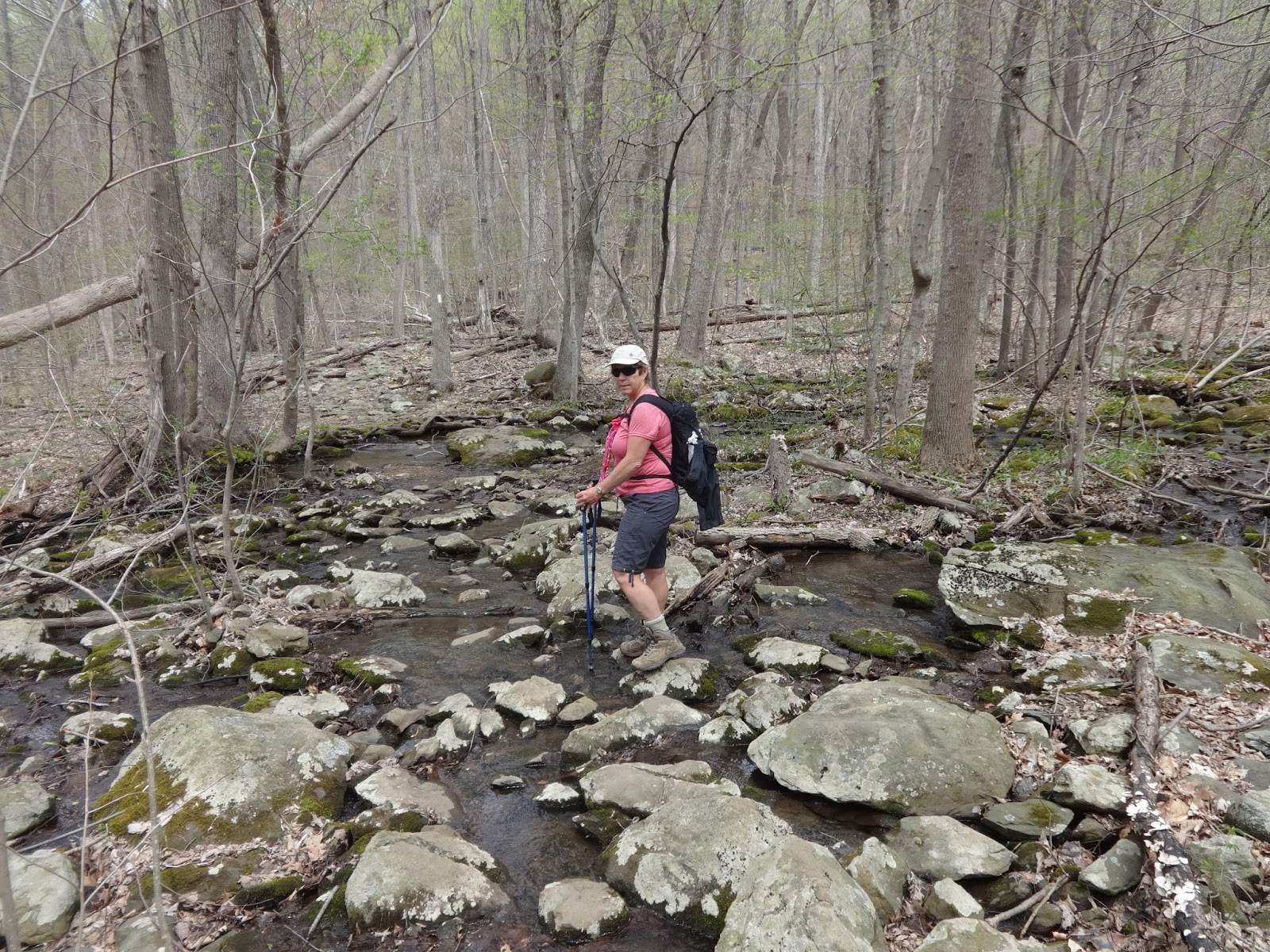 Appalachian Trail Section hiking: Ashby Gap to Snickers Gap