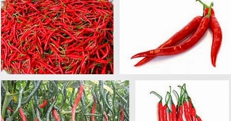 54+ Kombinasi Warna Merah Cabe