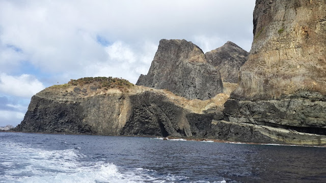 world's best beaches, islands and more: Swimming with dolphins at ...