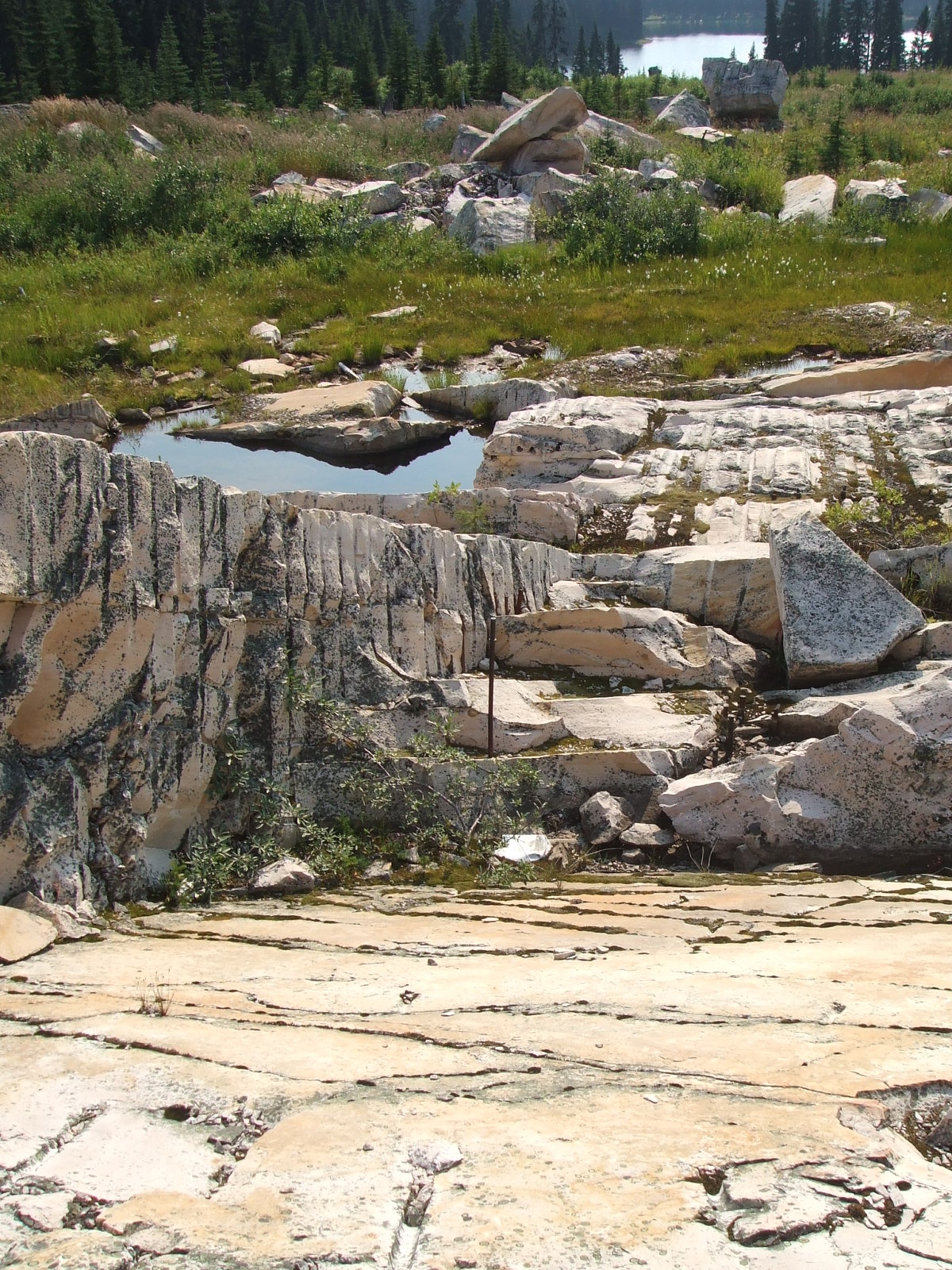 L'angolo della Geologia: Quartzite - Quarzite