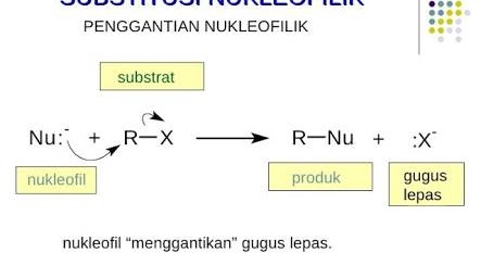 KIMIA ORGANIK: MEKANISME REAKSI SUBSTITUSI NUKLEOFILIK SN2